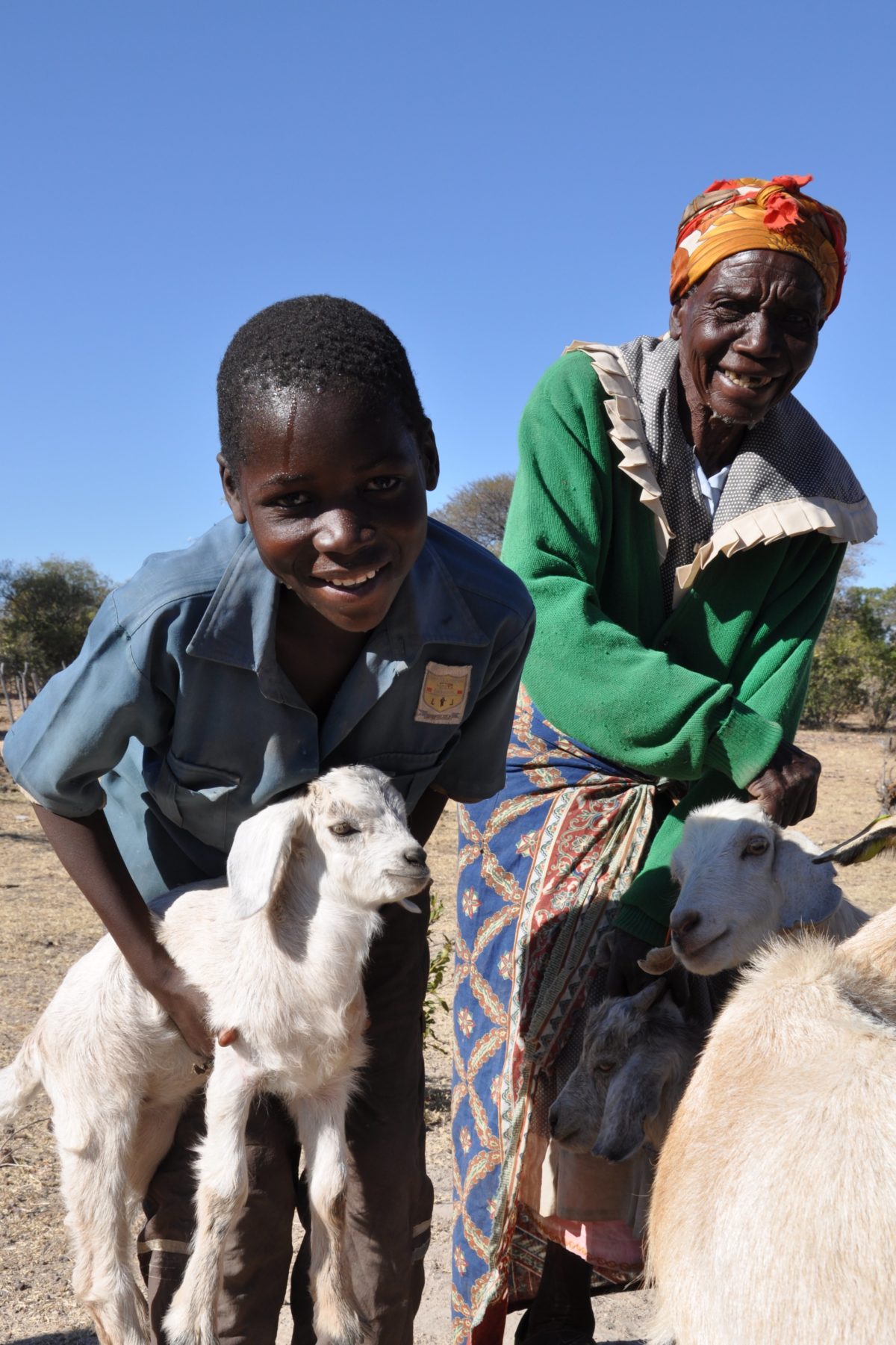 2nd generation goats - American Foundation for Children with Aids