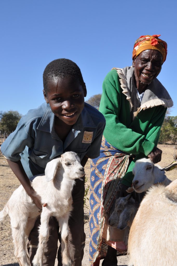 2nd generation goats - American Foundation for Children with Aids