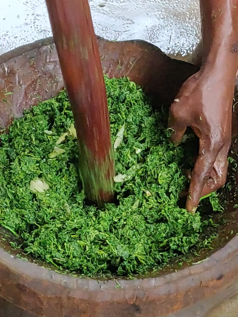 pondu - American Foundation for Children with Aids