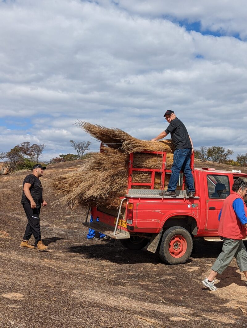 The tree team.... - American Foundation for Children with Aids