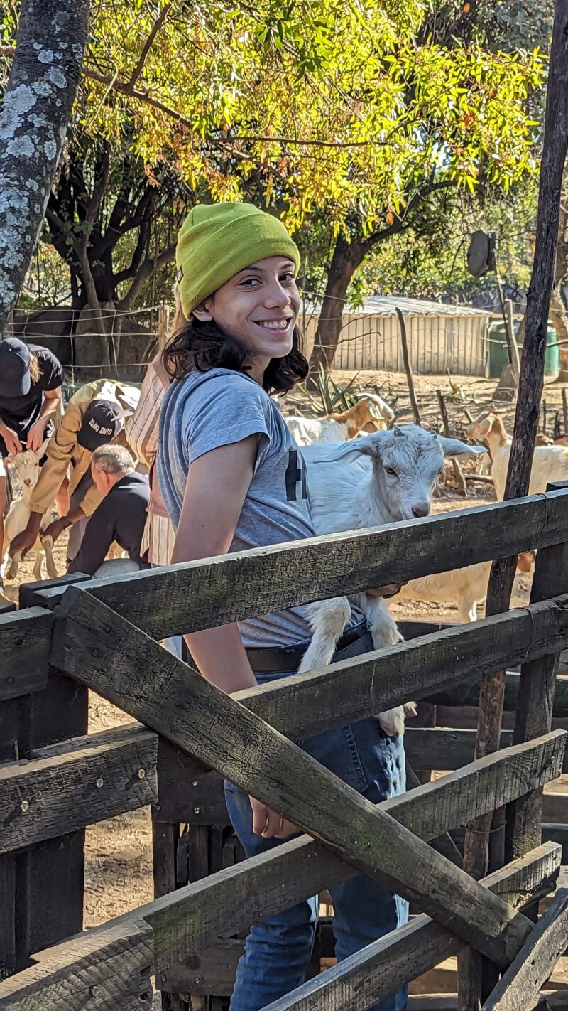 Weighing and Vaccinating Goats Today! - American Foundation for ...